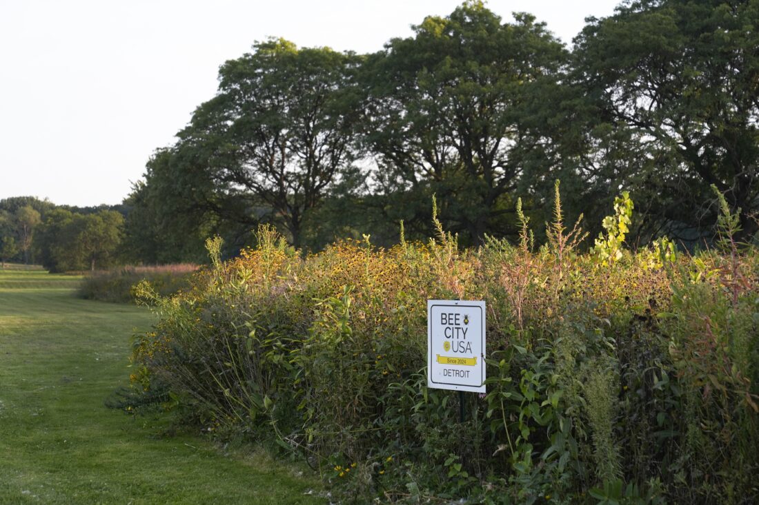 Urban communities that lack shade sizzle when it’s hot. Trees are a ...